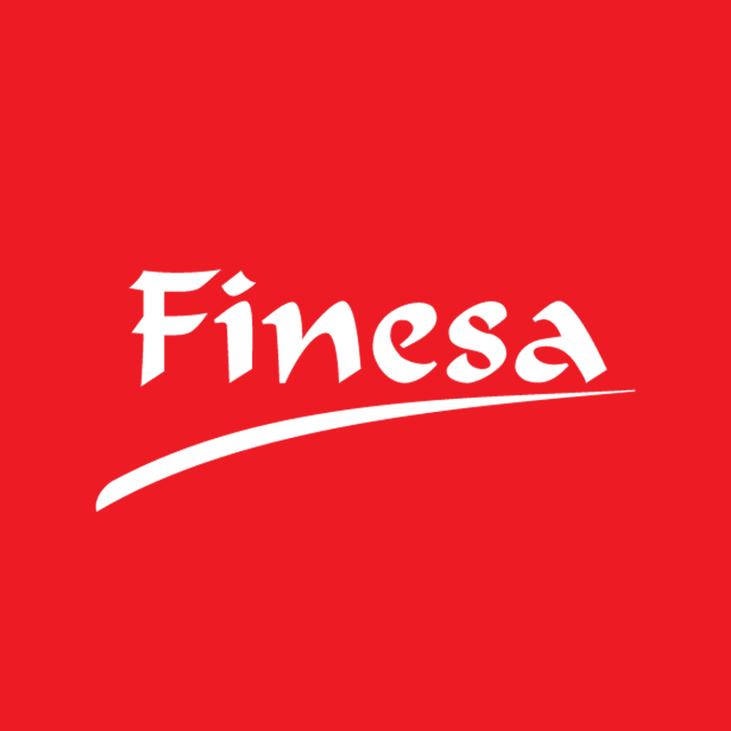 Finesa - radnasebi.com